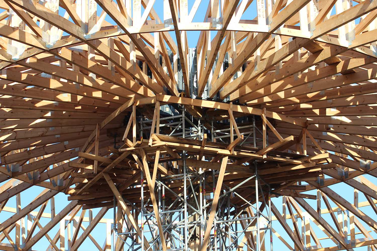 Zirgu arēna Viļņā - Freimans